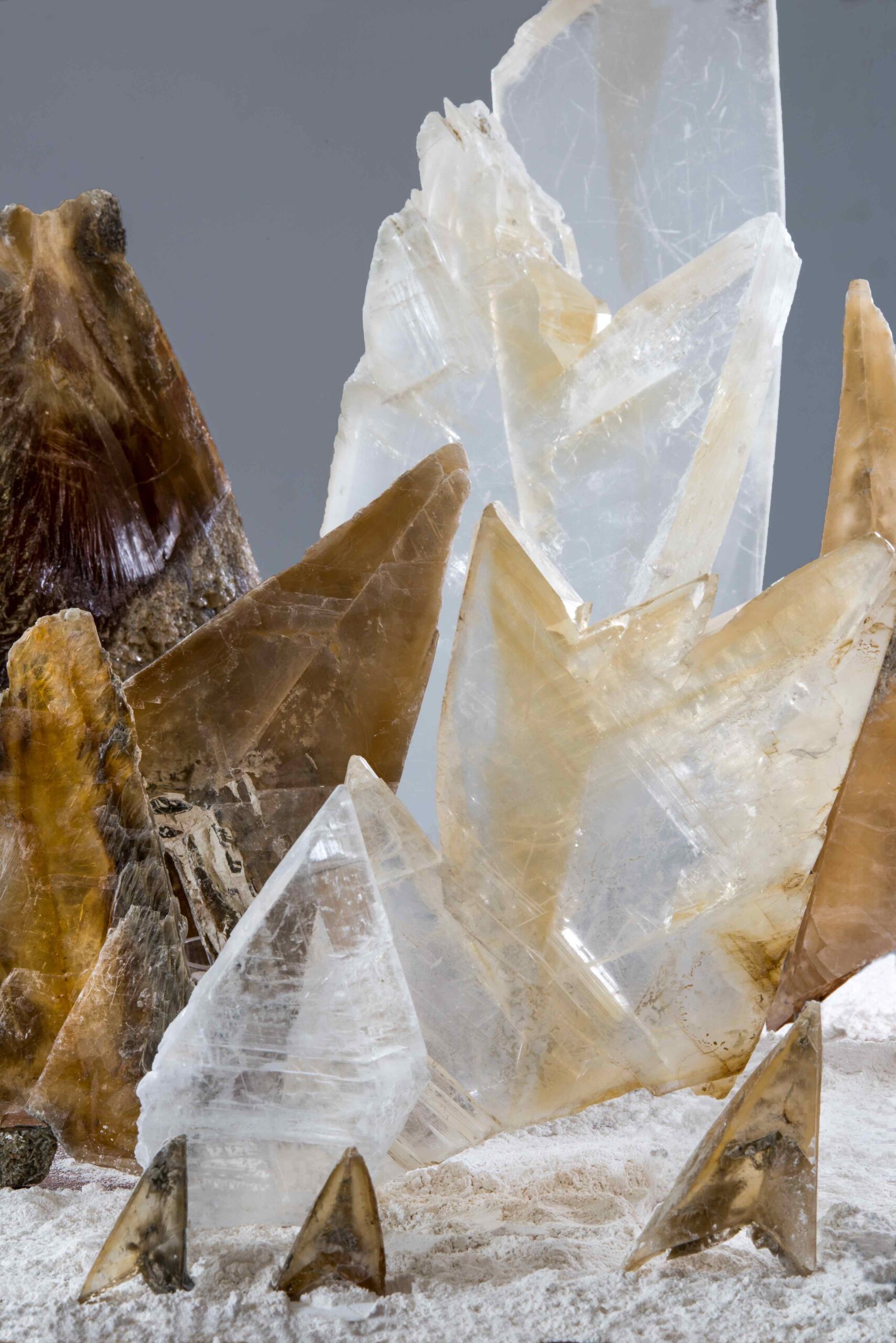 Plâtres en majesté. L’univers du plâtre – Histoire du Mobilier